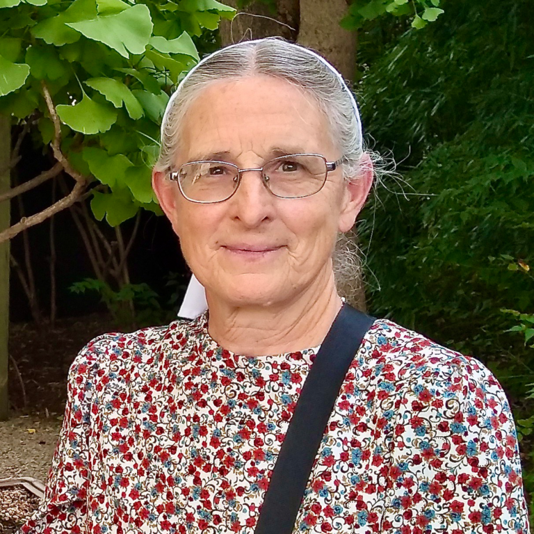 Petersburg Center - The James Isaac House